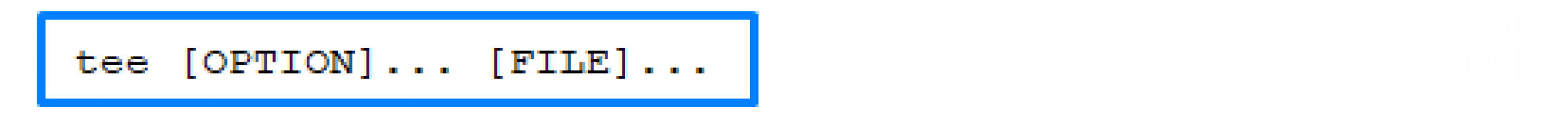 Using a bash tee command| DiskInternals