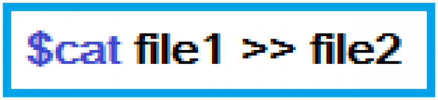 Bash Cat Command in Examples| DiskInternals