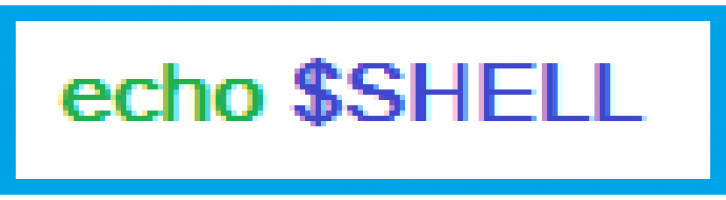 Linux ZSH: the basic you need to know| DiskInternals