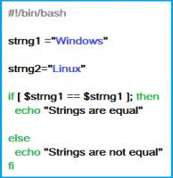 How to Check Bash String Equality| DiskInternals
