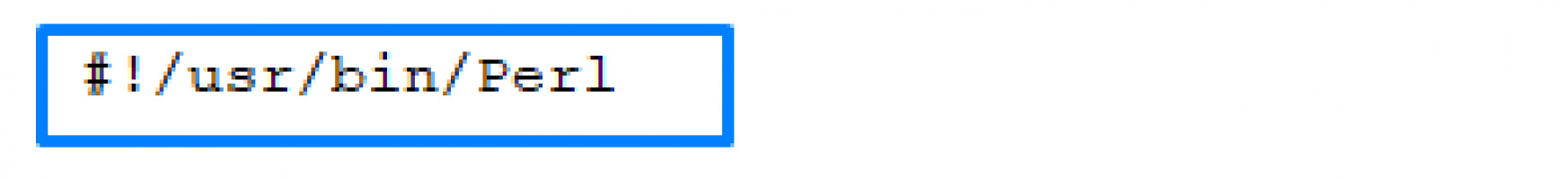 Using /usr/bin/env command| DiskInternals