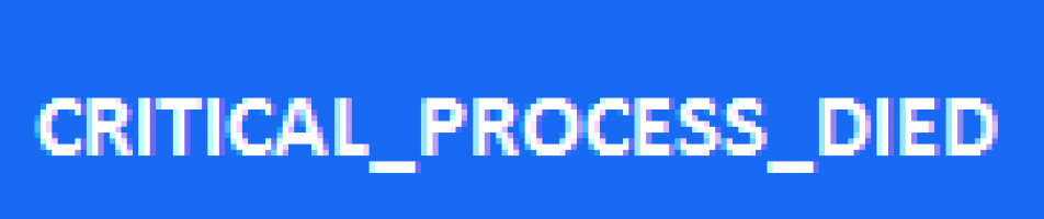 Critical Process Died